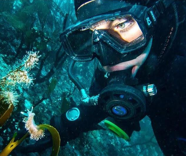 Adventurer at heart: exploring the marine world with Lindblad ...