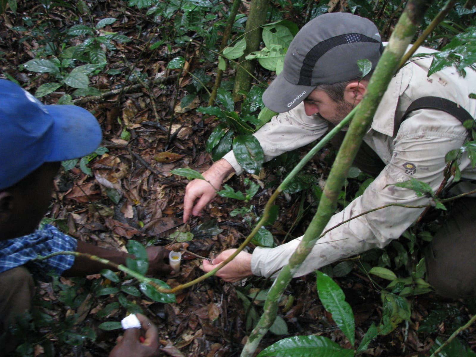 Conservation Field Scientist | Ashley Vosper