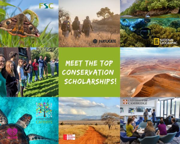 Ultimate Guides | Top Conservation Careers Advice