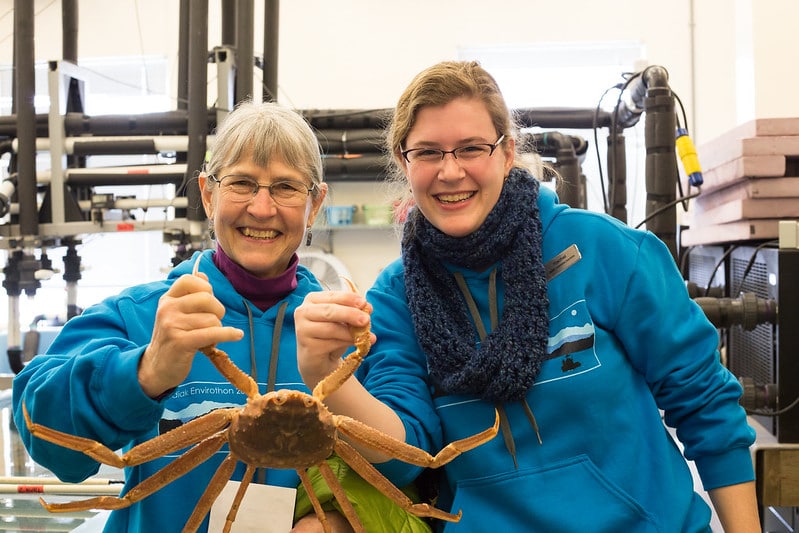 Marine Conservation Jobs | Ultimate Guide | Conservation Careers