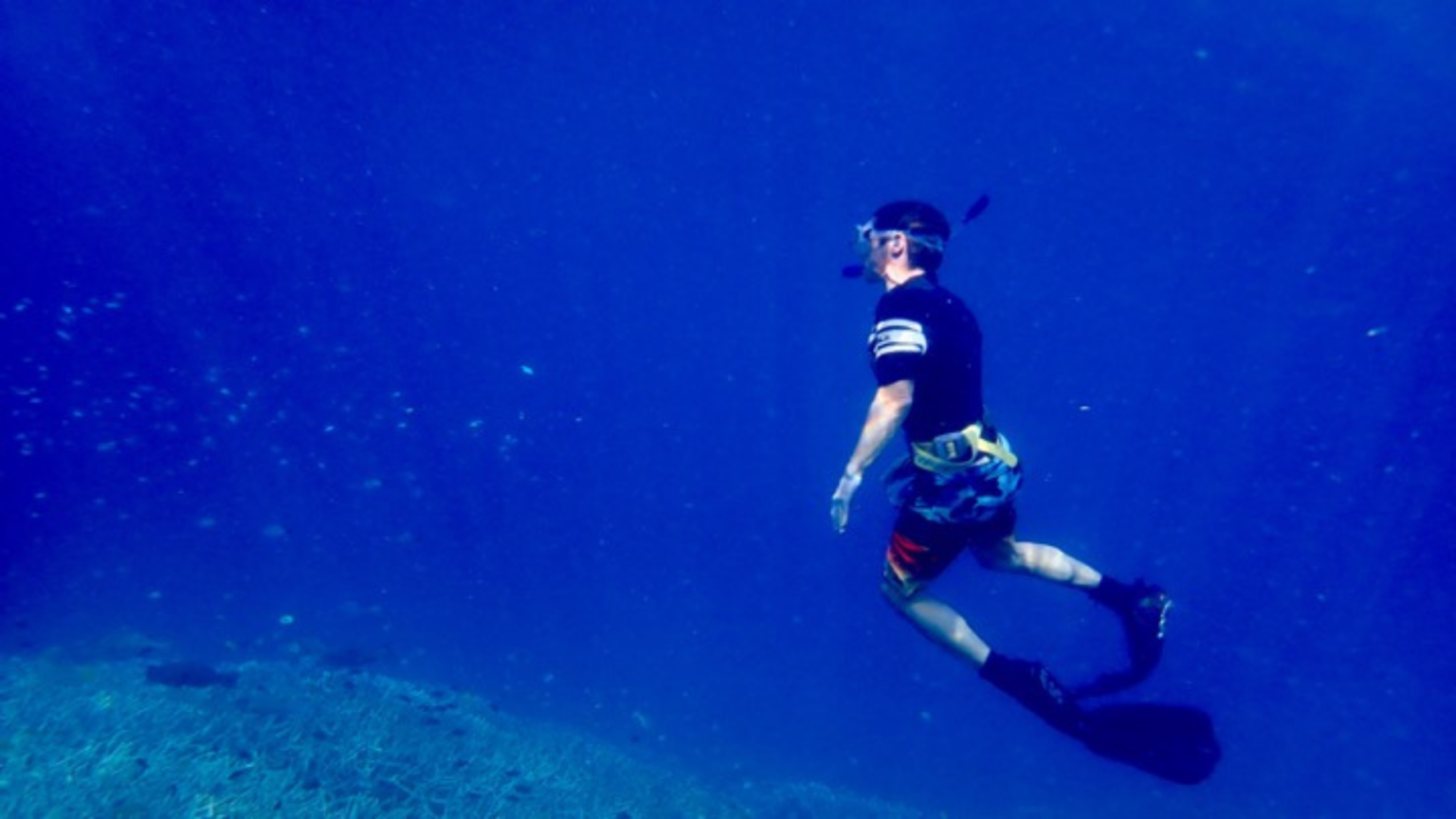 Listening to our Blue Planet: An interview with Professor Steve Simpson ...