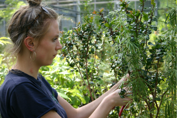 How to Become a Botanist? | Conservation Careers