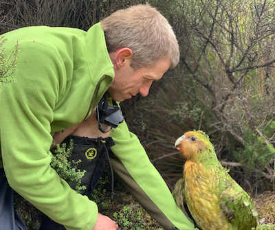 What is conservation? [And how you could contribute]