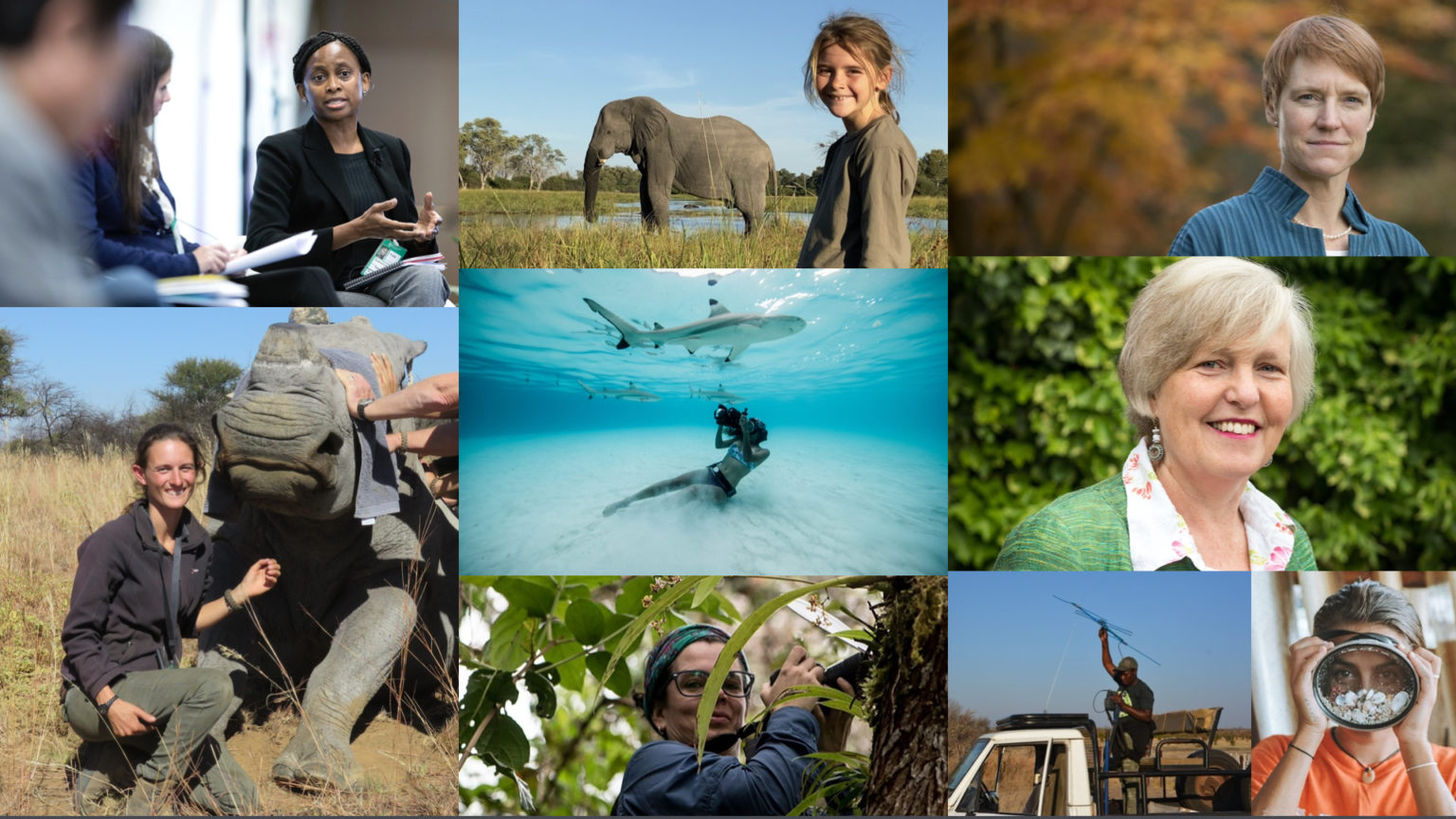Webinar | Women in Conservation Part 2 | Conservation Careers
