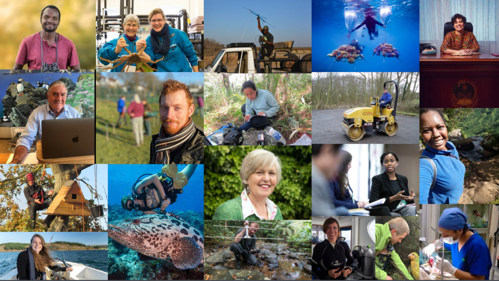 Ultimate Guides | Top Conservation Careers Advice