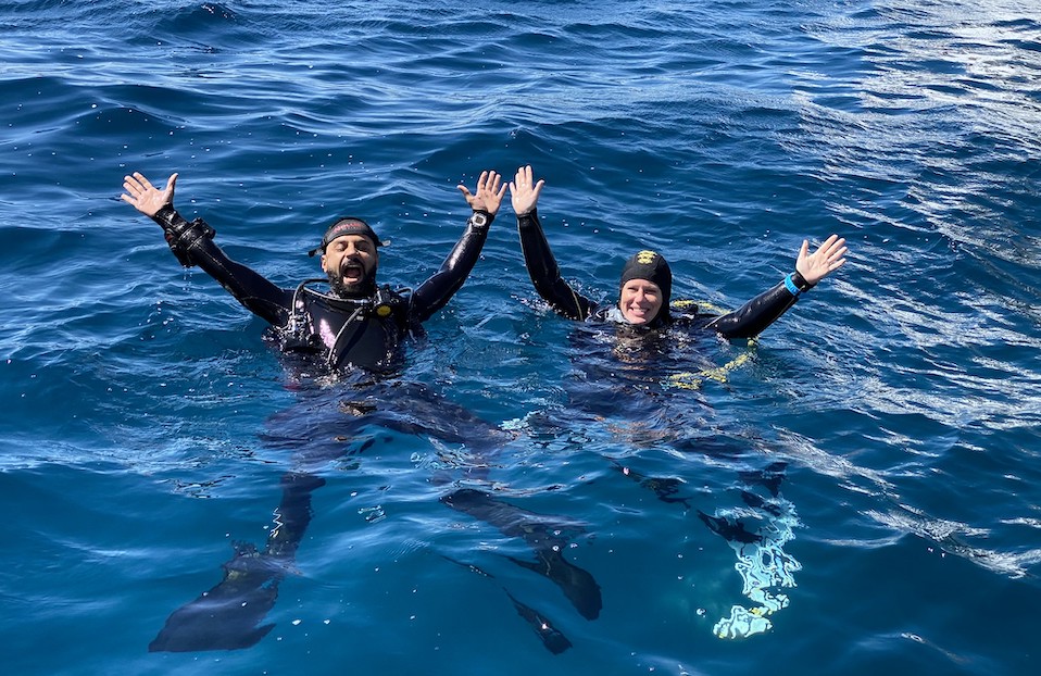 Marine conservation job application tips and tricks from The Reef-World ...