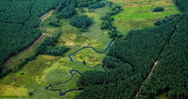 How to become an ecologist? | Conservation Careers