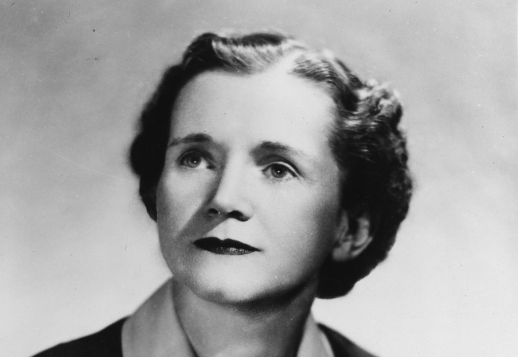 How to become an ecologist? | Conservation Careers