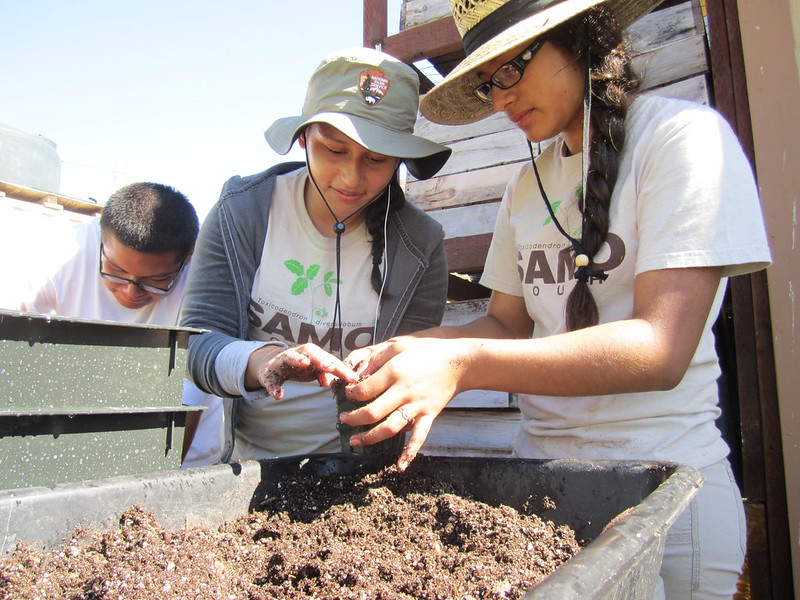 Restoration and Rewilding Careers | Conservation Careers