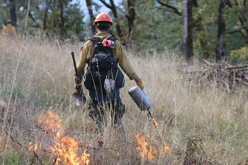 Restoration and Rewilding Careers | Conservation Careers