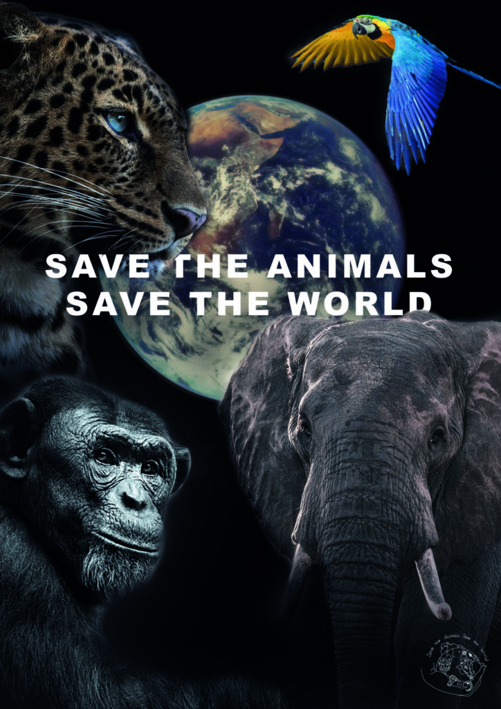 Save The Animals, Save The World - an Interview with conservation ...