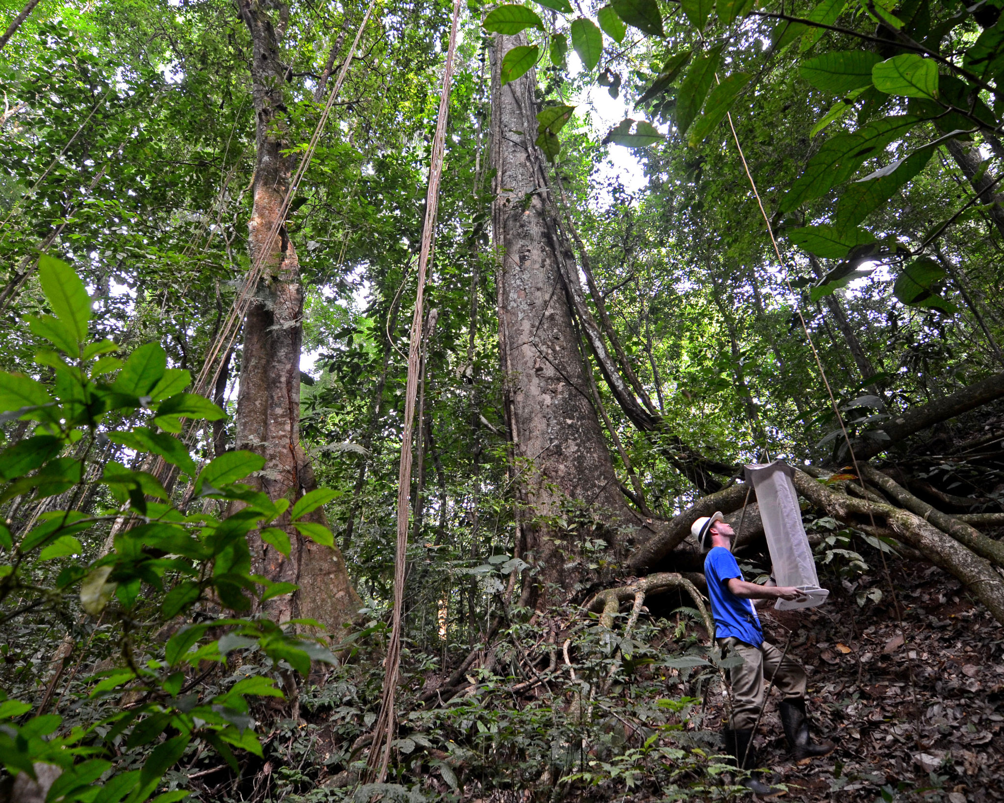 Internships in biological research, sustainable agriculture and ...