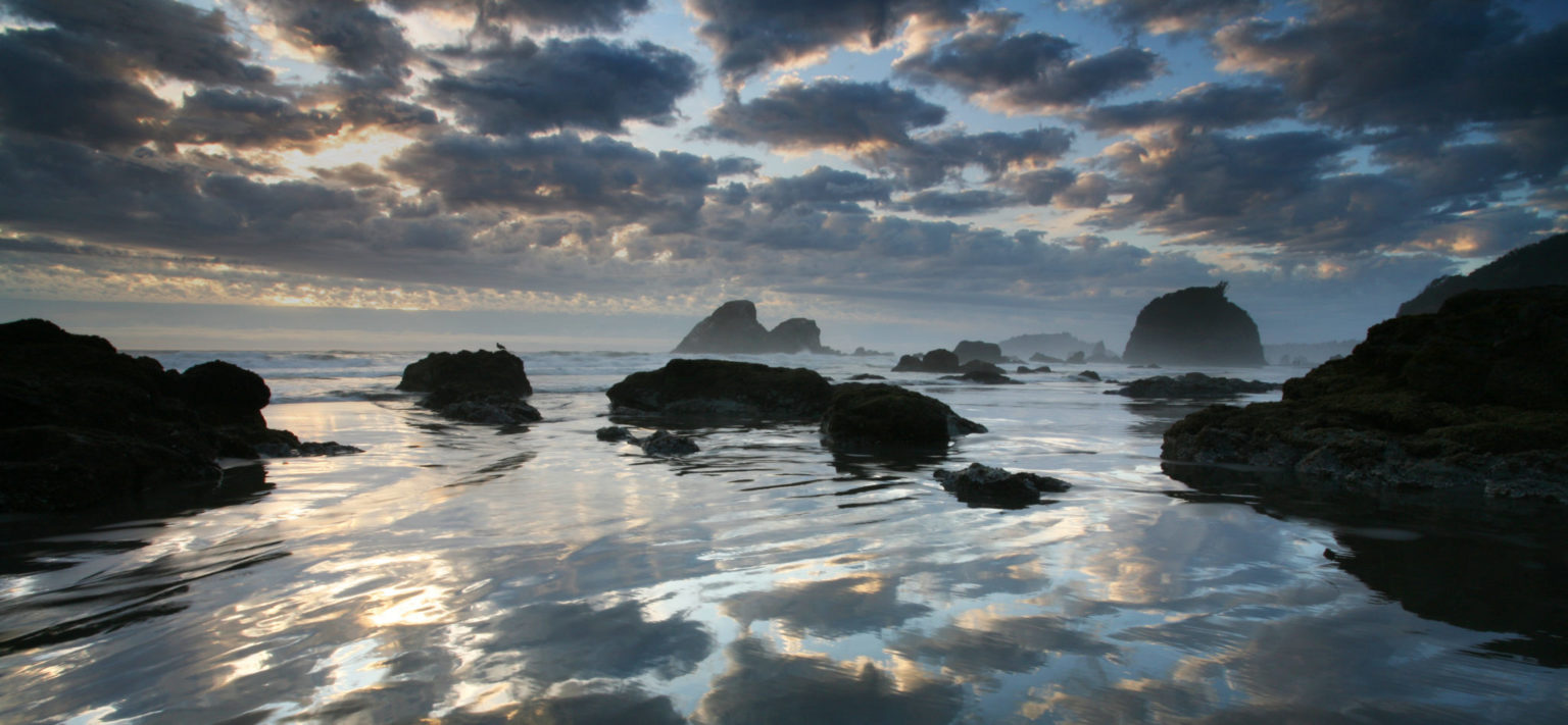 Conservation Project Manager | Conservation Careers