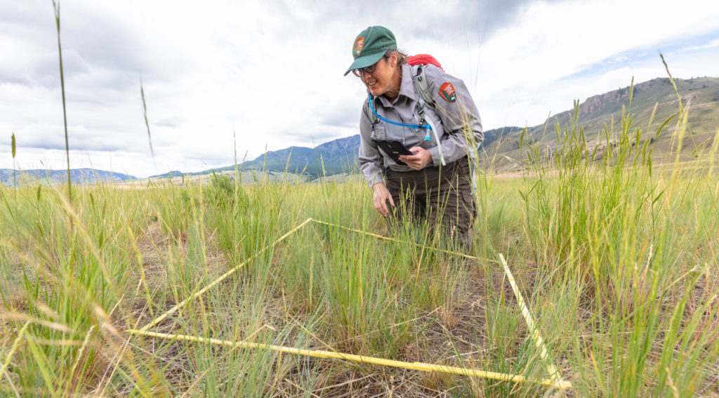 Conservation Ecologist | Conservation Careers