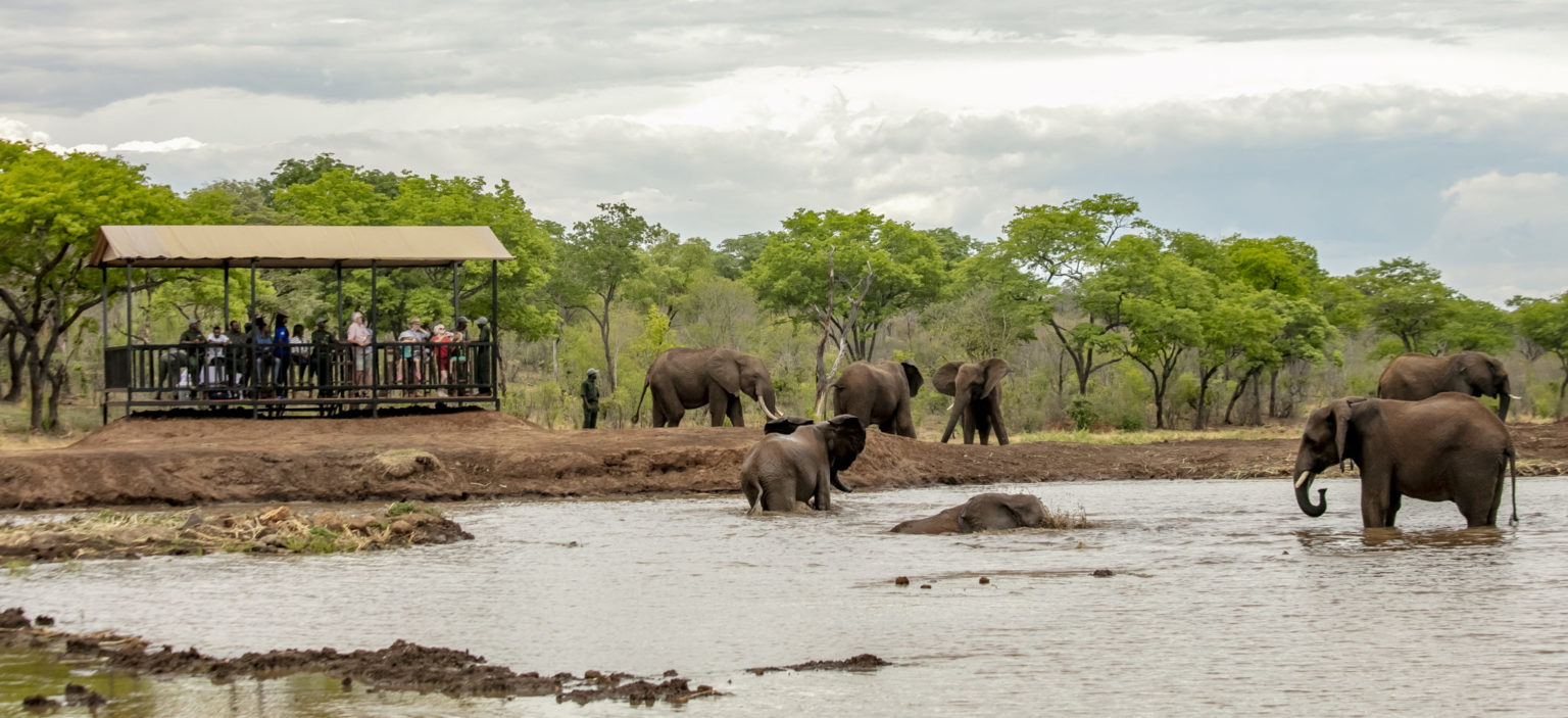 Wildlife Carer | Conservation Careers