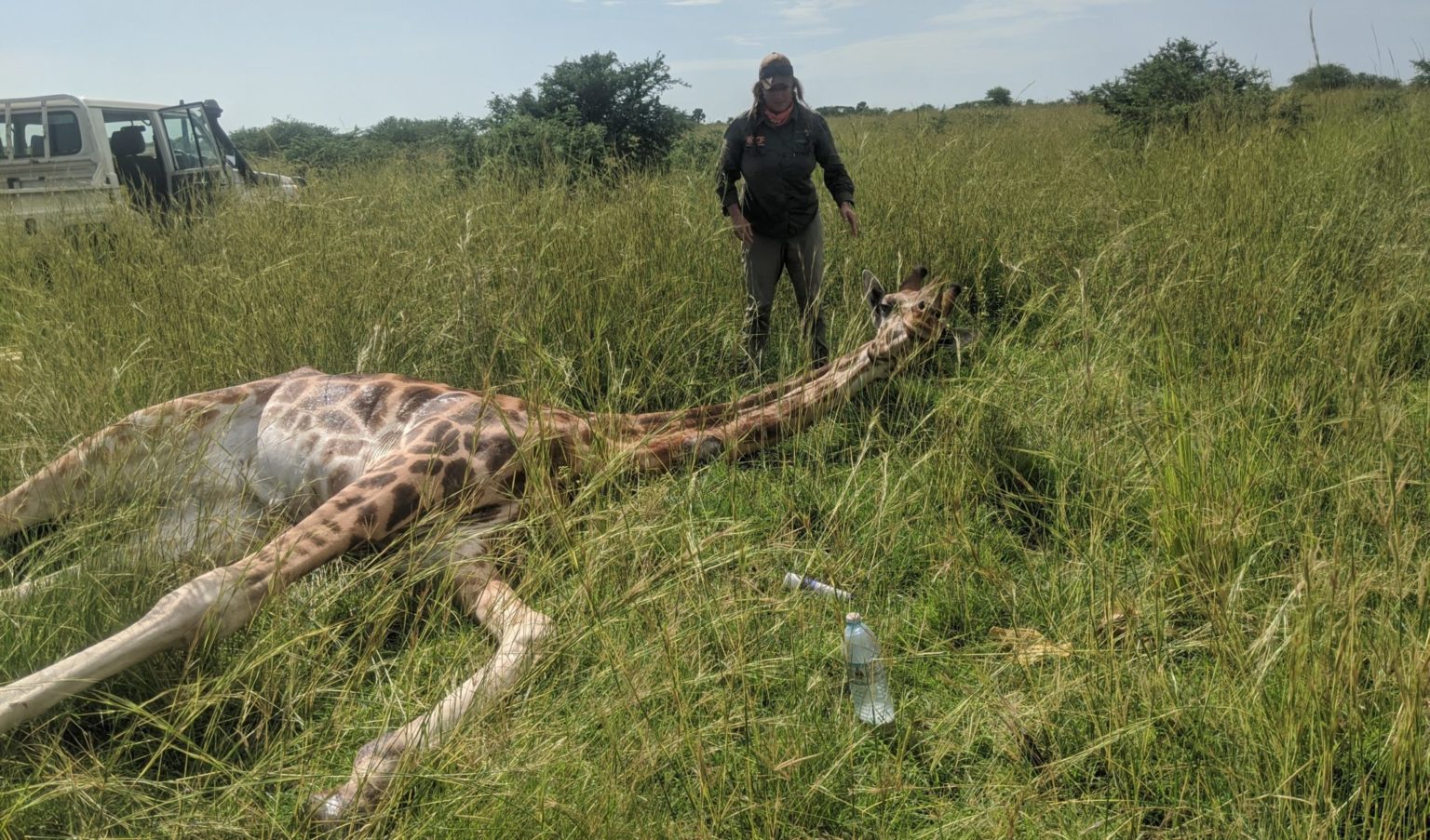 Wildlife Carer | Conservation Careers