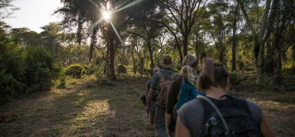 Apprentice Field Guide Course in Southern Africa | Conservation Jobs ...