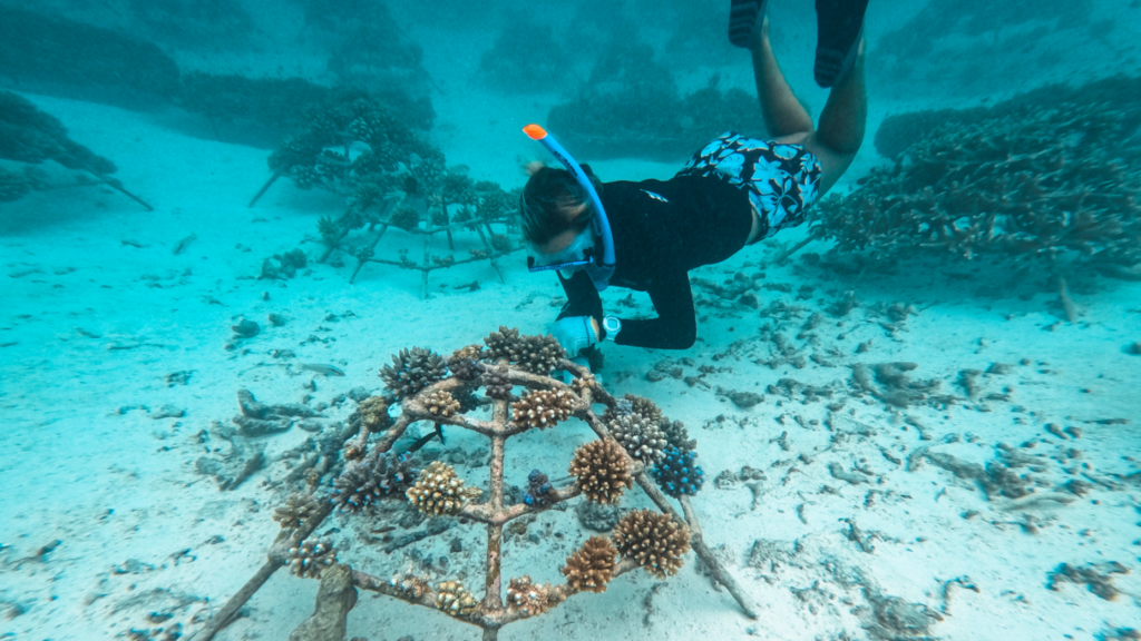 How to become a marine biologist? | Conservation Careers