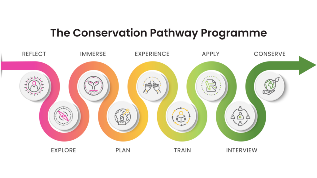 Webinar | Behind the scenes of the Conservation Pathway Programme | Conservation Careers