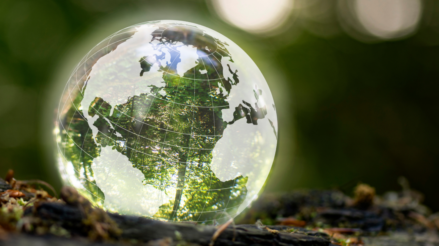 Key conservation roles | A new map of the conservation sector ...