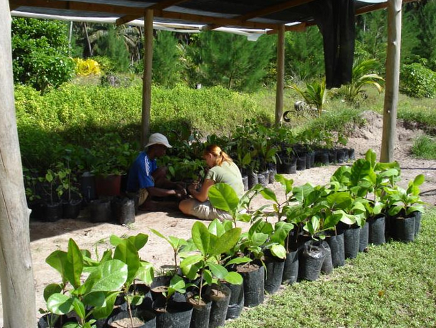 Volunteering in Seychelles as part of a Zoology degree - Conservation ...