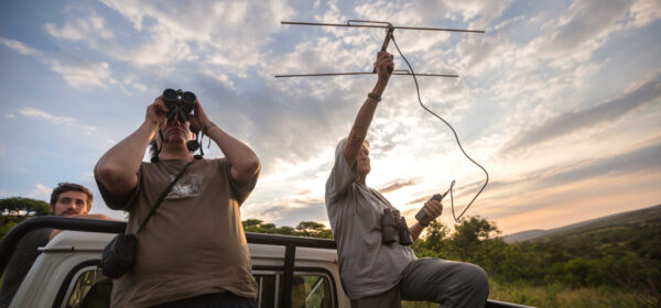 Wildlife Conservation Training Course in South Africa | Conservation ...