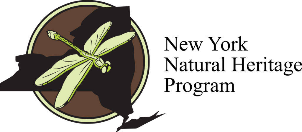 How to become a zoologist | Conservation Careers