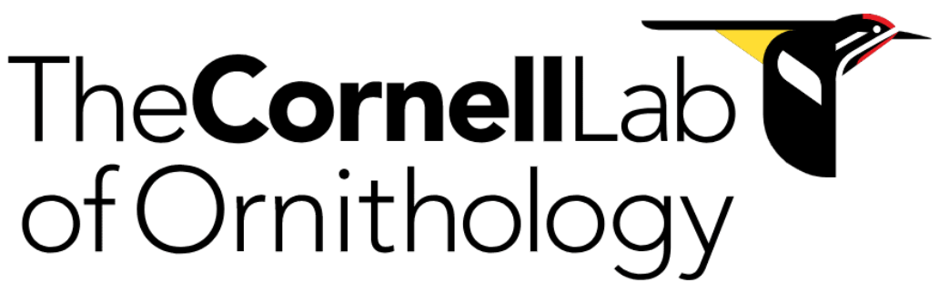 How to become an ornithologist | Conservation Careers