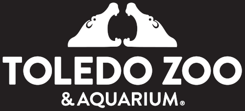 Jobs at Toledo Zoo | Conservation Careers | Putting the People into ...