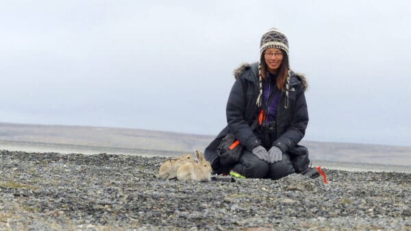 Conservation Careers Advice - Conservation Careers