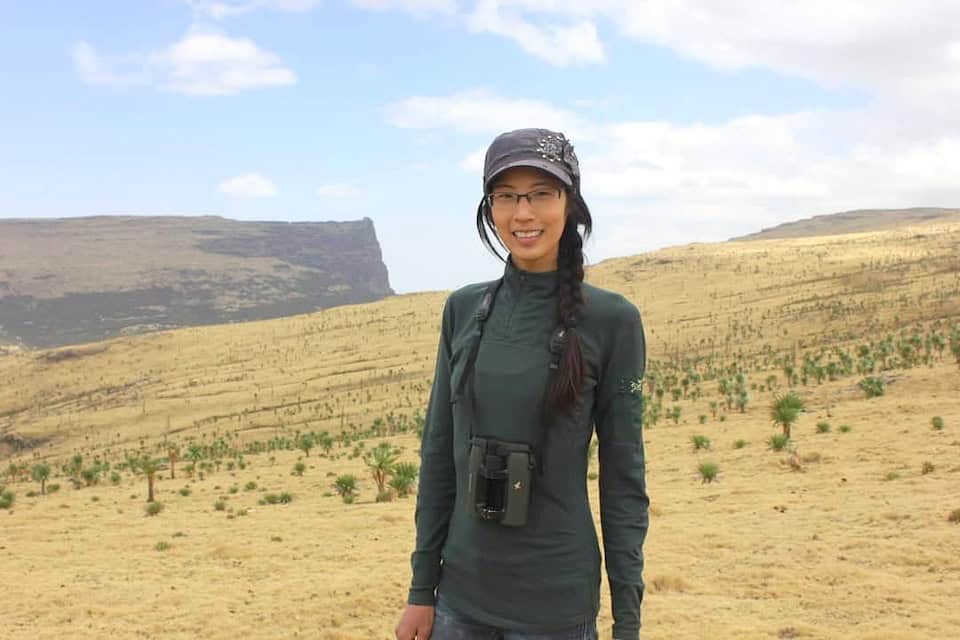 Unveiling the mysteries of the Ethiopian Wolf: An in-depth look at Dr ...