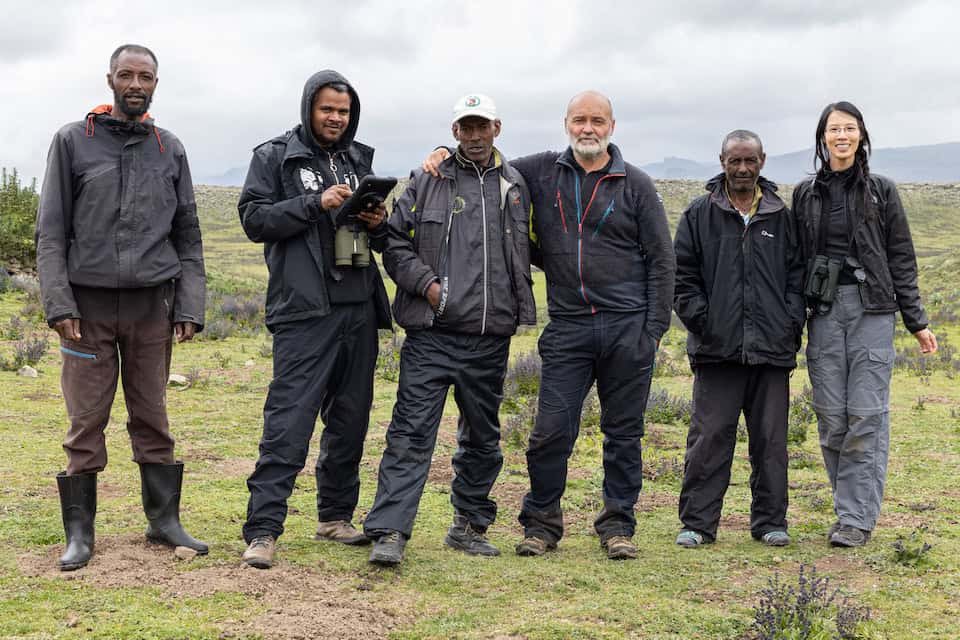 Unveiling the mysteries of the Ethiopian Wolf: An in-depth look at Dr ...