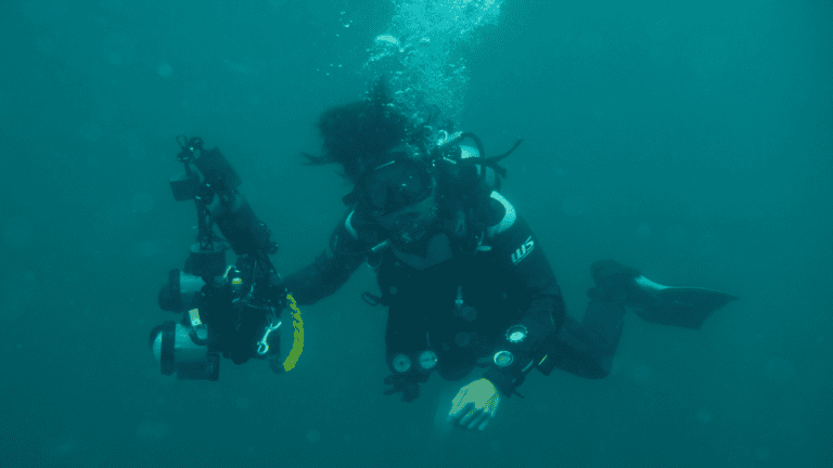 How to become a marine biologist? | Conservation Careers