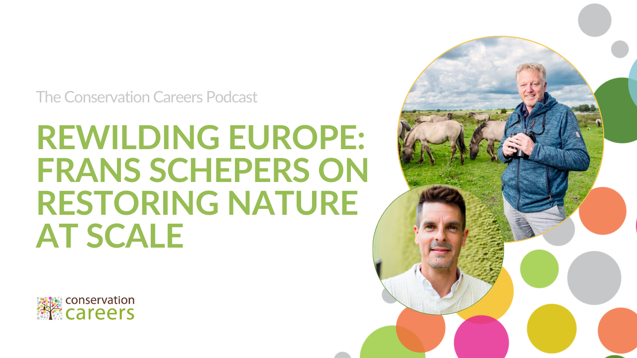 Podcast | Rewilding Europe: Frans Schepers on restoring nature at scale ...