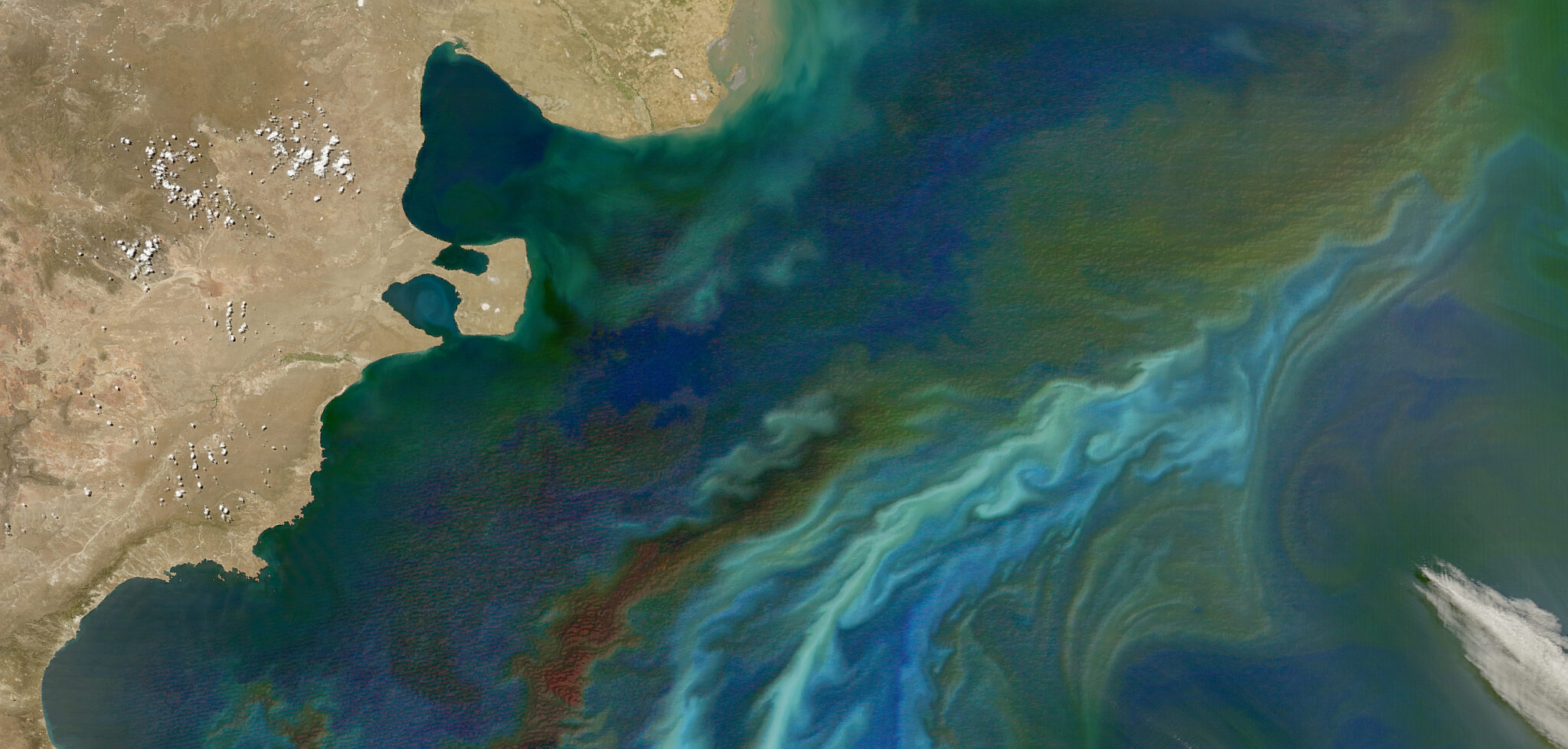 How to become an oceanographer | Conservation Careers