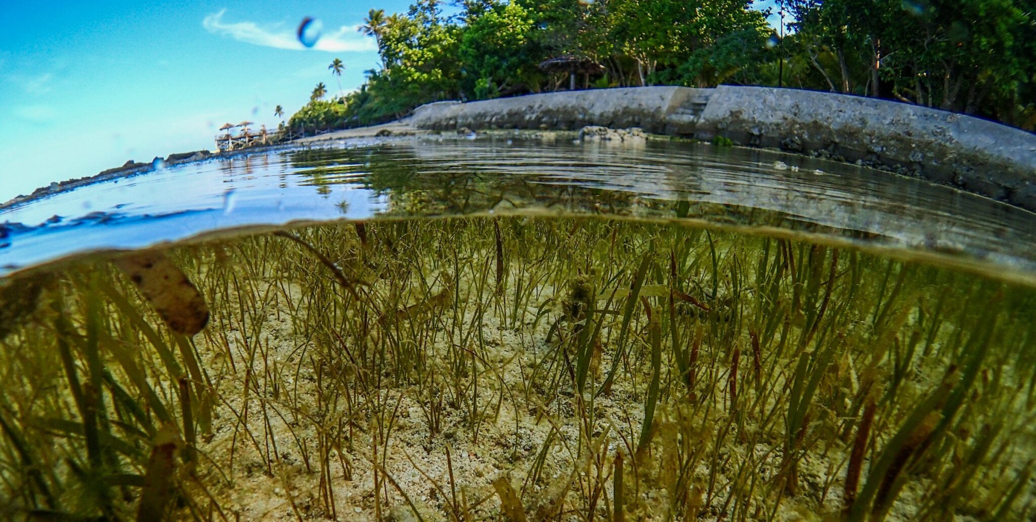 How to become an oceanographer | Conservation Careers