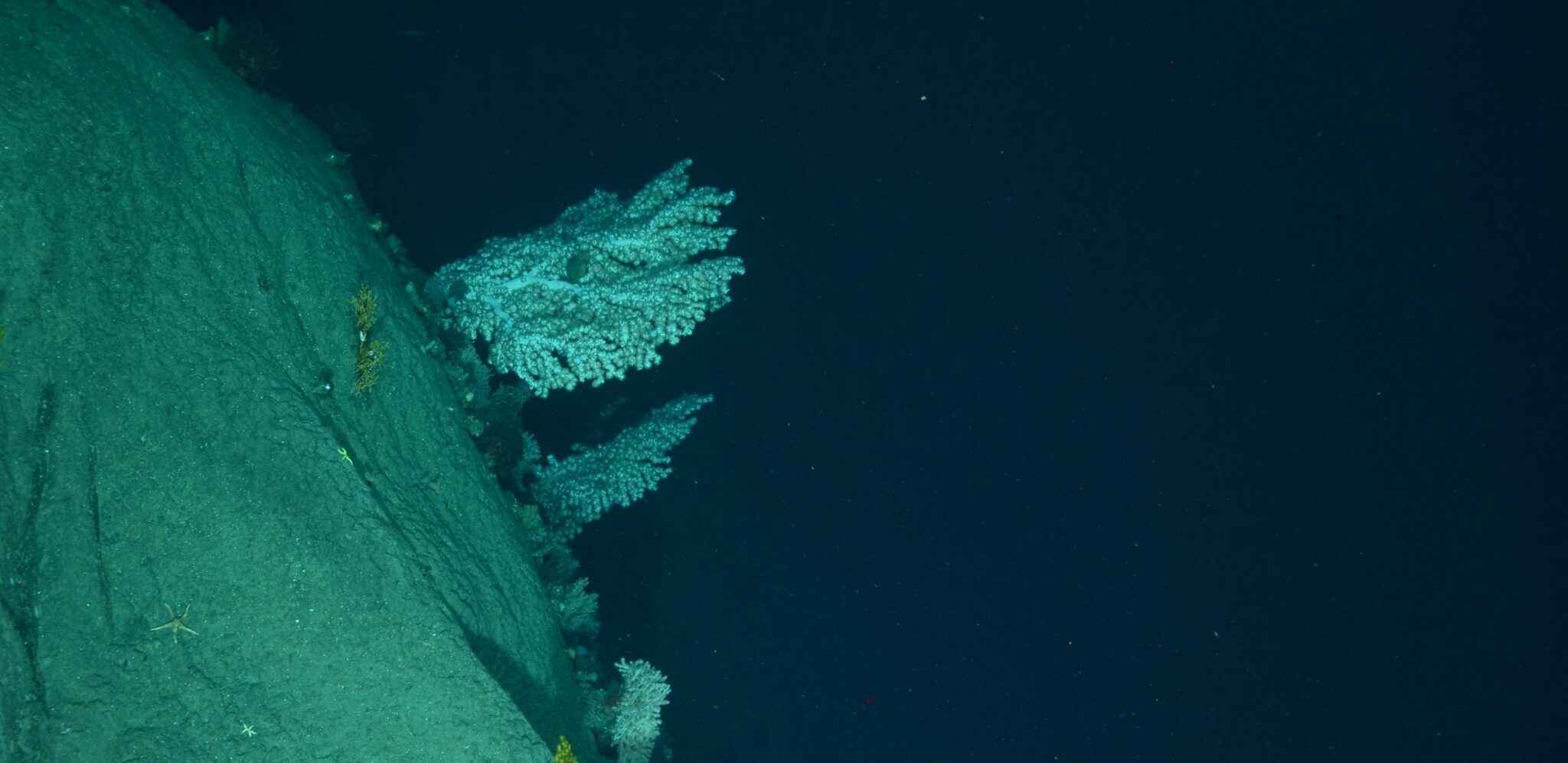 How to become an oceanographer | Conservation Careers