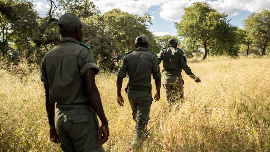 How to become a forest ranger | Conservation Careers