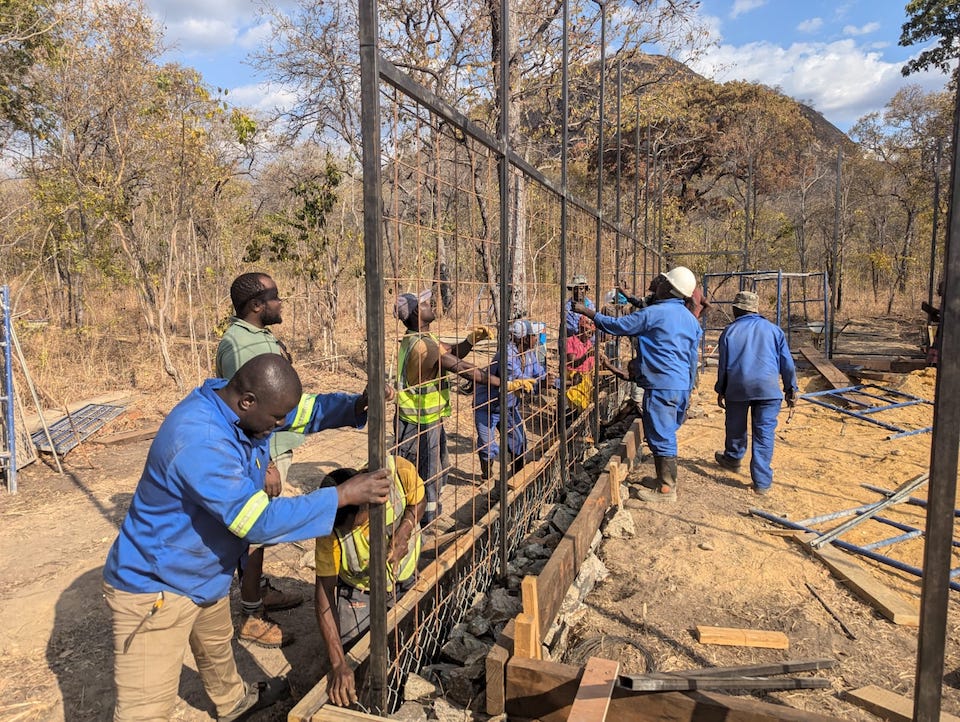 From wildlife vet to conservation leader: A journey of passion and ...