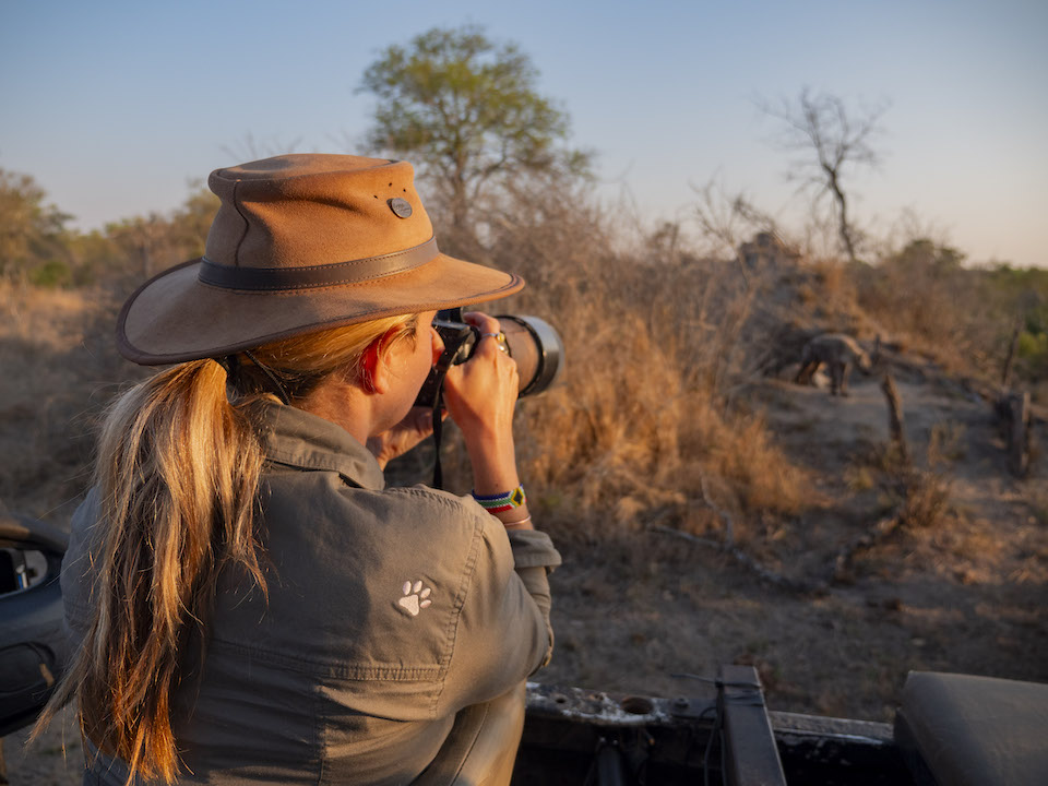 How to become a big-5 African safari guide | Conservation Careers