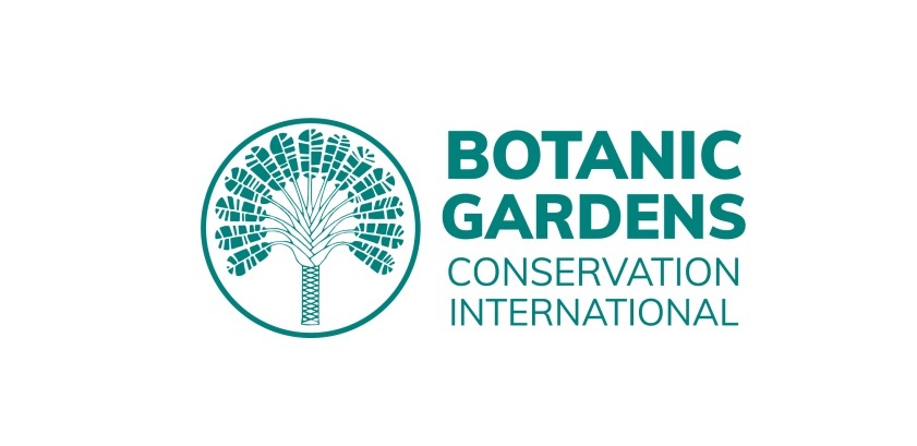 Arboretum Plant Collections Management Internship - The Arboretum At ...