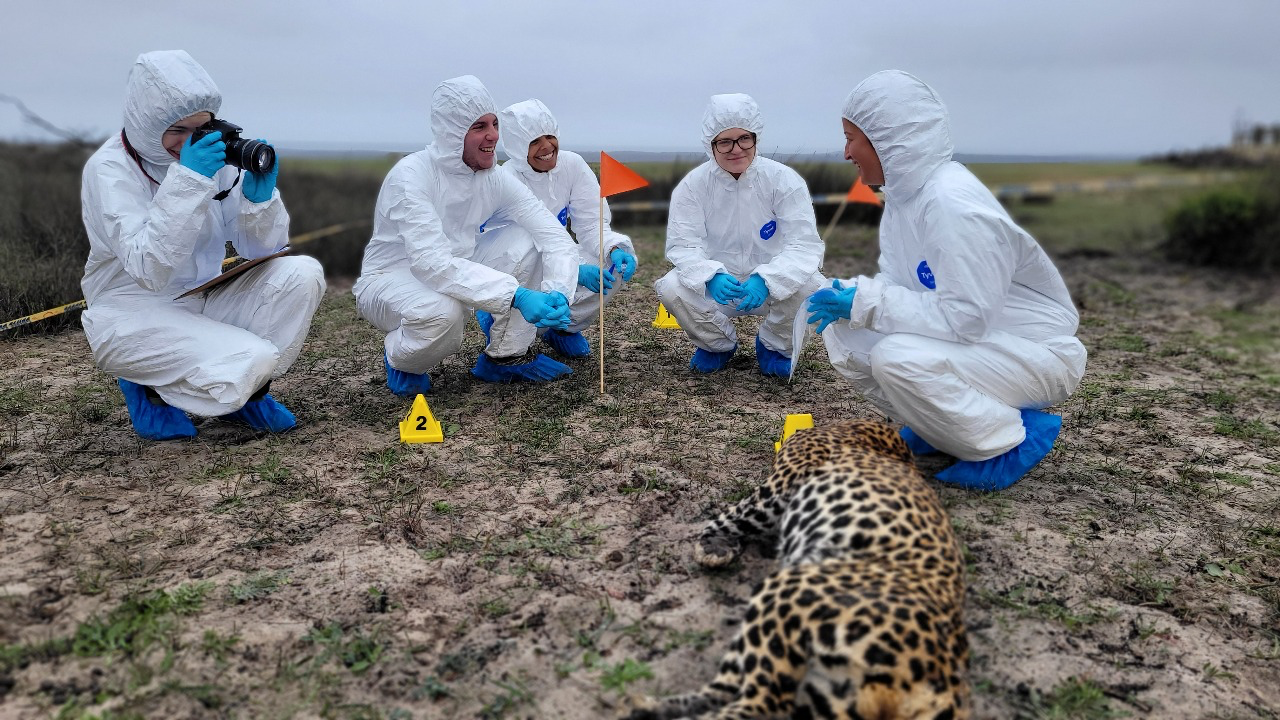 2-Week International Course: Wildlife Forensics, Crime Scene Management ...