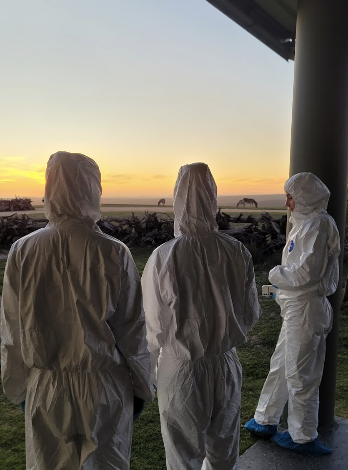 2-Week International Course: Wildlife Forensics, Crime Scene Management ...